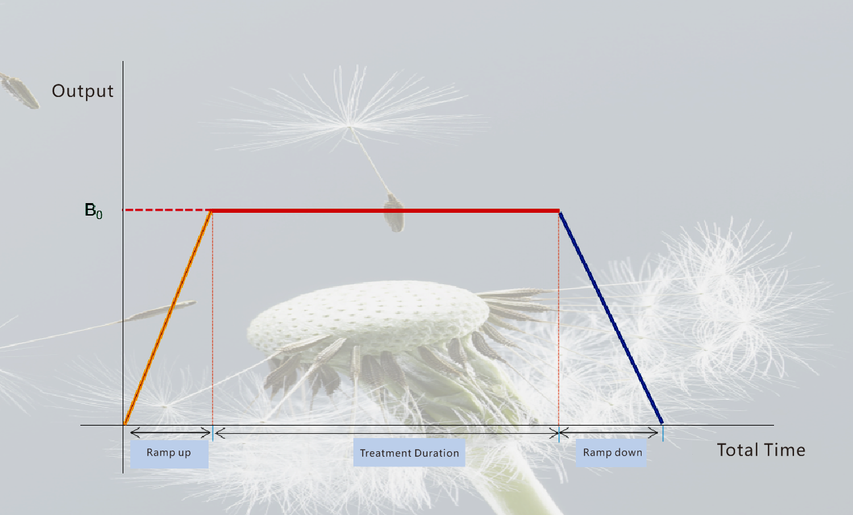 Transcranial Magnetic Stimulation (TMS) Service
